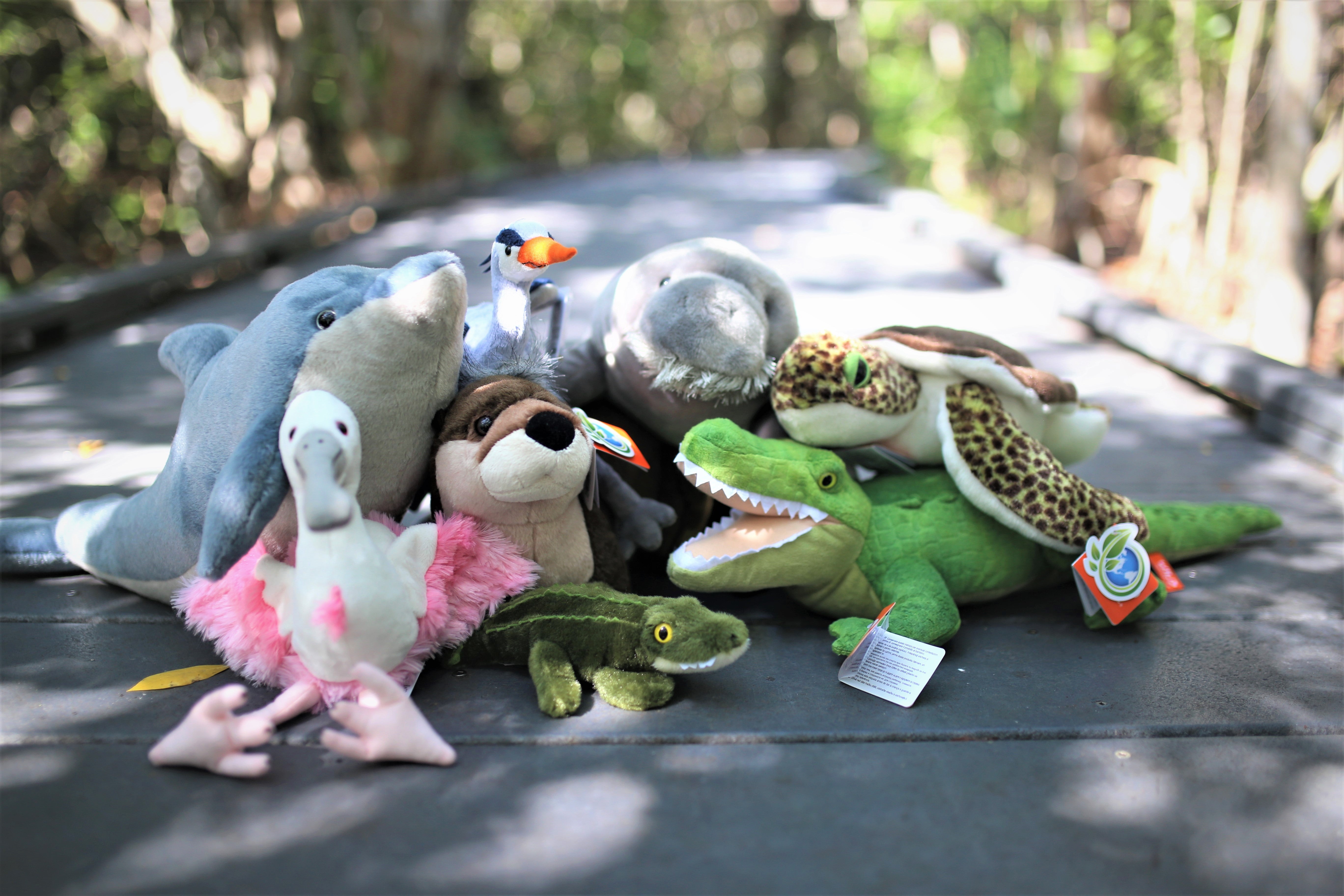 Stuffed Animals – Shop "Ding" Darling