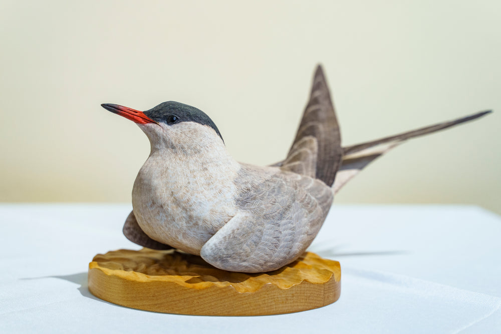 Hand Carved Common Tern Sculpture by Jeff Demarest – Shop "Ding" Darling
