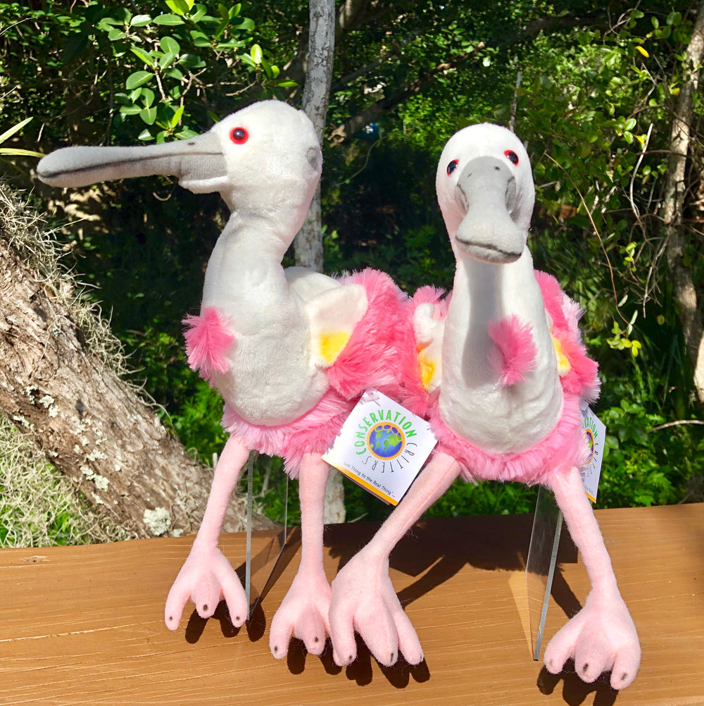 Roseate Spoonbill Stuffed Animal - Exclusive – Shop "Ding" Darling