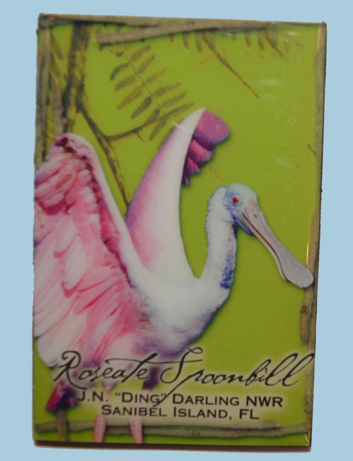 Shop and Support - Shop "Ding" Darling