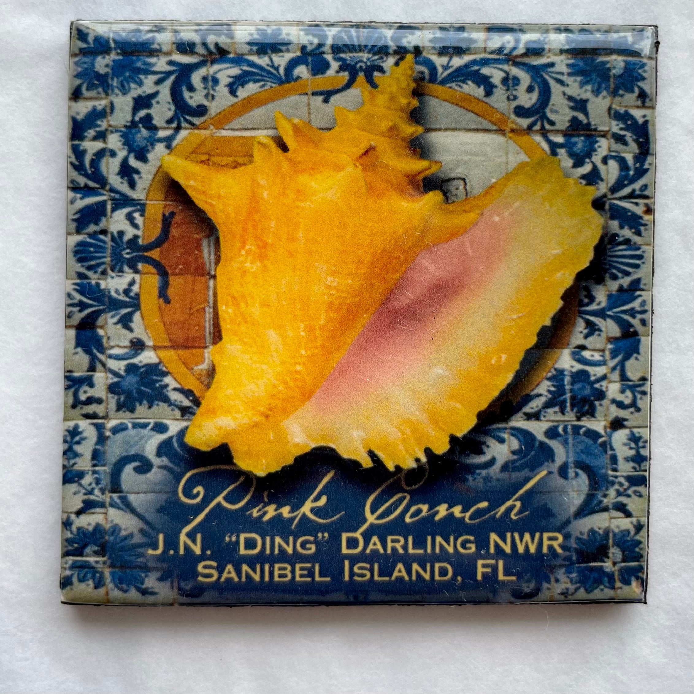 Wildlife Refrigerator Magnets - Pink Conch – Shop "Ding" Darling